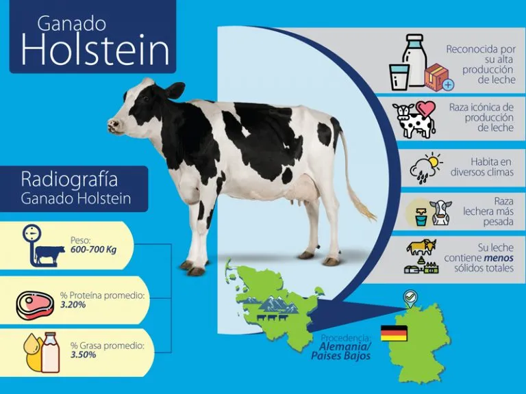 Manjar de Leche Guatemalteco